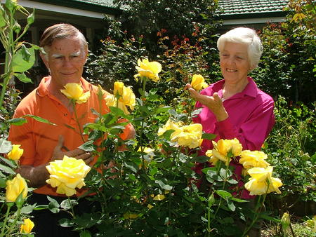 The Amanda Rose | Amanda Young Foundation